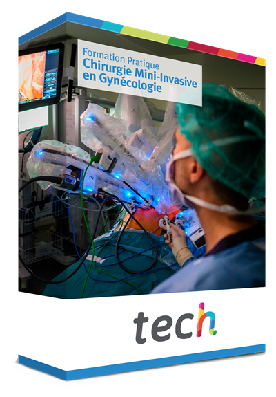 Formation Pratique en Chirurgie Mini-Invasive en Gynécologie - TECH France