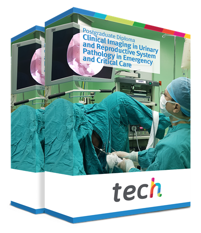 Postgraduate Diploma in Clinical Imaging in Urinary and Reproductive System Pathology in ...