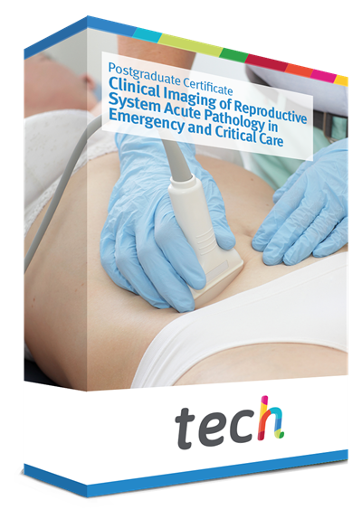 Postgraduate Certificate in Clinical Imaging of Reproductive System Acute Pathology in Emergency ...