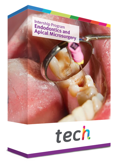 Internship Program in Endodontics and Apical Microsurgery