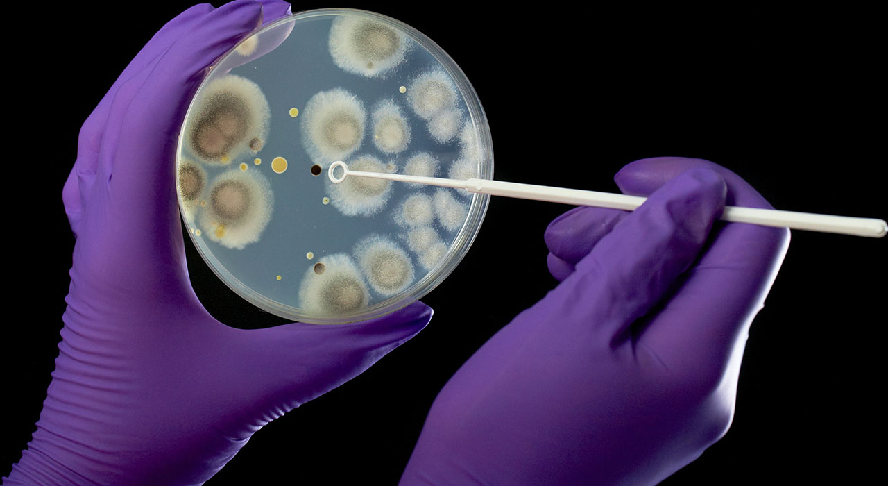 Diplomado En Diagnóstico Y Control De La Infección Nosocomial Tech Cuba