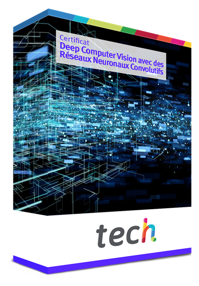 Certificat en Deep Computer Vision avec des Réseaux Neuronaux ...